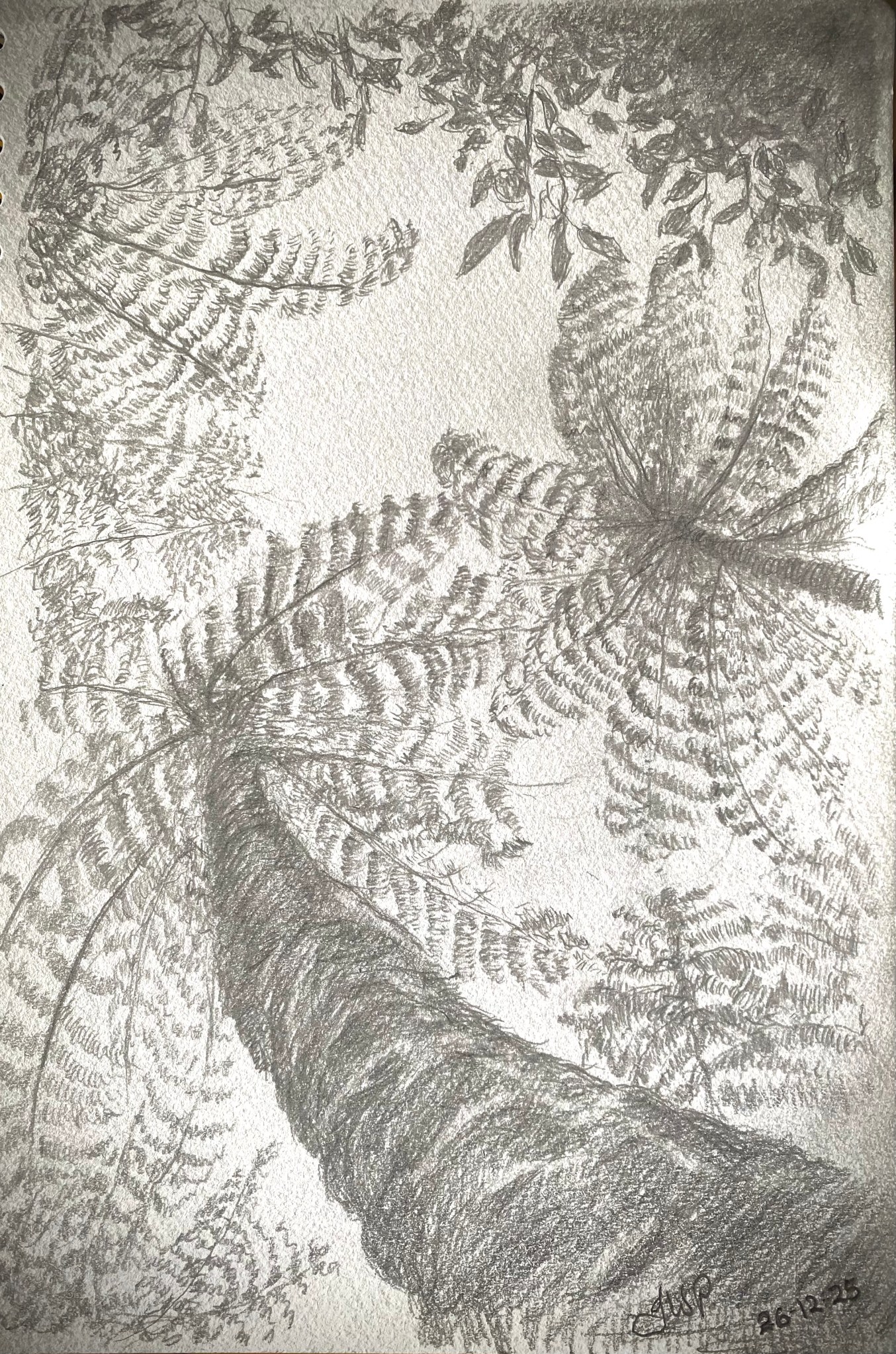 Happy New Year 2026. – CreativePagesNz